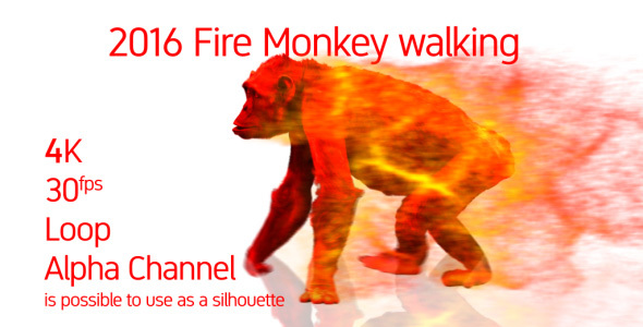 2016 Fire Monkey Walking, Motion Graphics | VideoHive